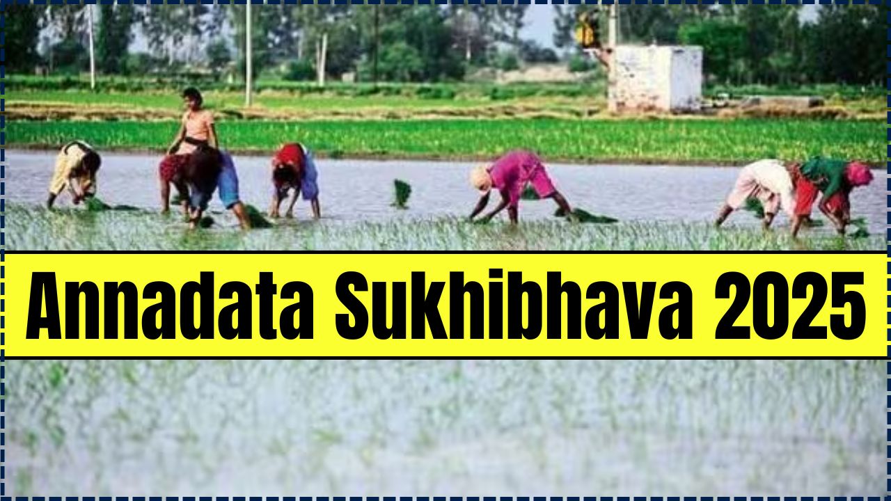 Student Credit Card Scheme 2025: New Rules, Application Process & How ...