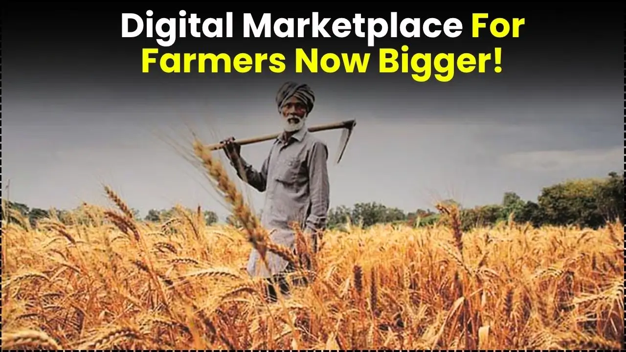Selling Crops from Home Becomes Easier — Government Expands Its Digital ...