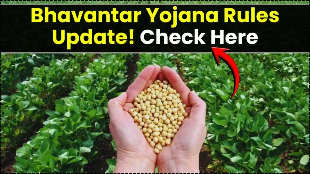 New Bhavantar Yojana Rules — Which Farmers Will Lose Benefits and the Reasons Explained ...