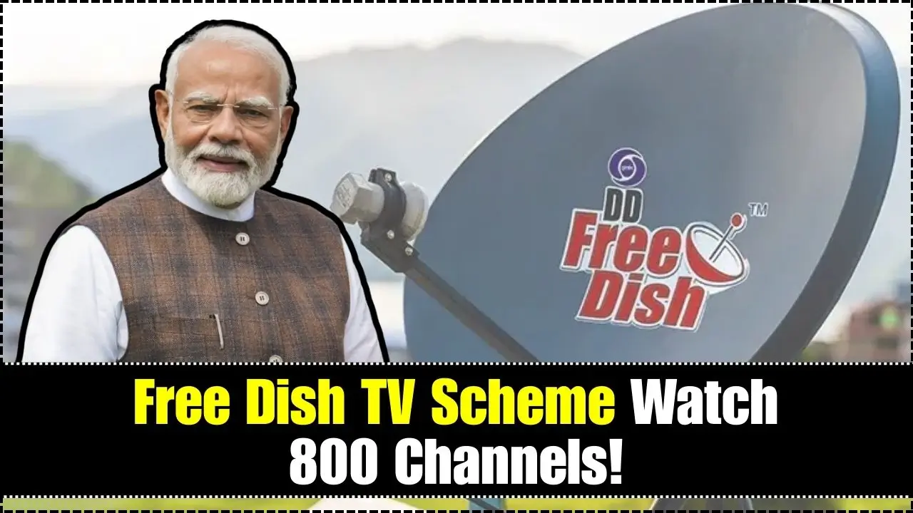 Free Dish TV Scheme Explained: Watch 800 Channels Without Recharge ...