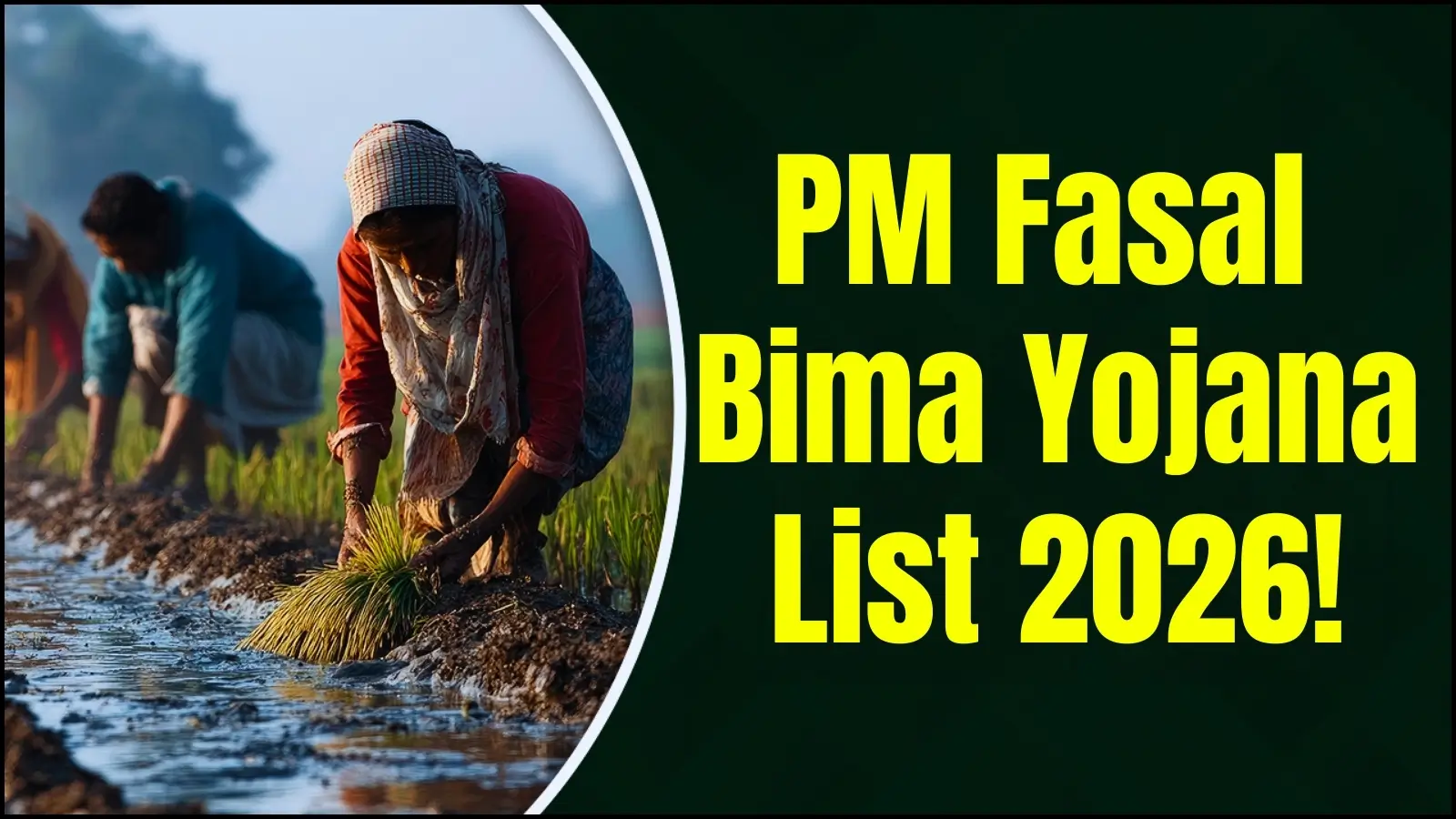 Pradhan Mantri Fasal Bima Yojana List 2026 – Online Registration ...